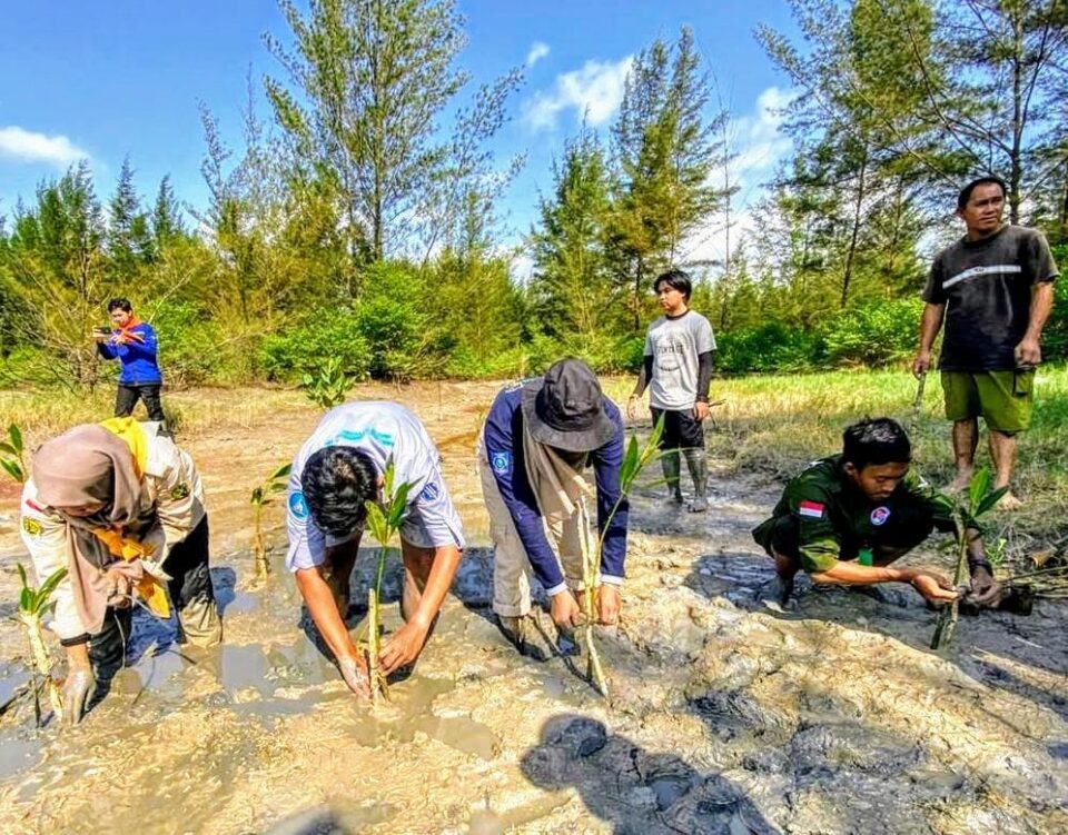 Penaman 1000 batang Mangrove, peran pemuda dalam mengatasi problematika ...